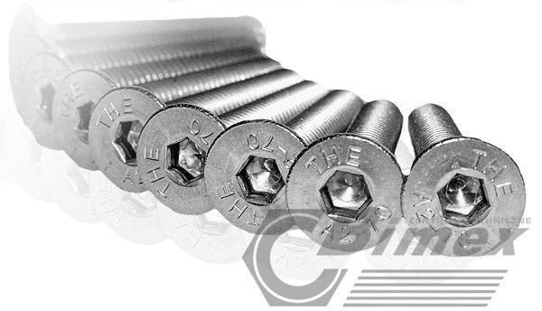 M8x20 ŚRUBA IMBUSOWA NIERDZEWNA STOŻKOWA DIN 7991 | 5 SZTUK | sklep z narzędziami BIMEX